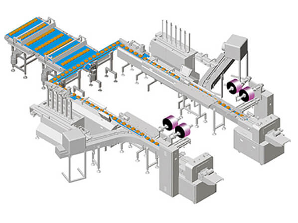 Fully automatic horizontal pillow type tray loading and packing machine ... Fully automatic horizontal pillow type tray loading and packing machine ...