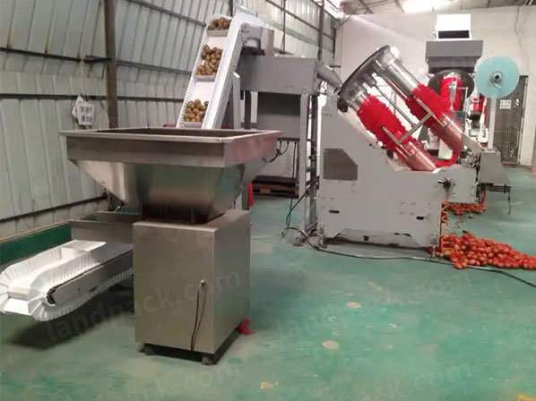 Automatic Mesh Bag Packaging Machine Net Bag Packing Machine for ...